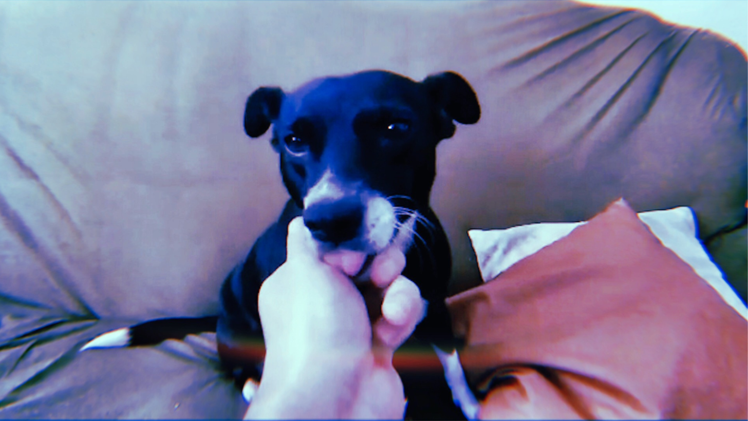 VIDEOTEXTO: Cadê eu? - WELLAS | Pensamentos e Ideias.