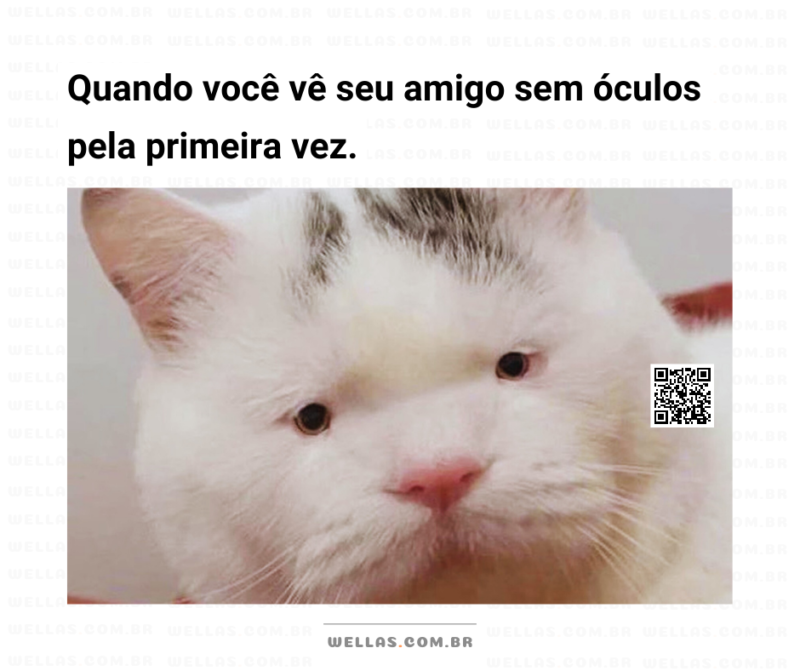Memes para Redes Sociais (20) - WELLAS | Pensamentos e Ideias.
