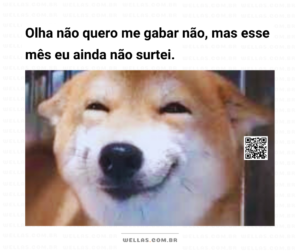 Memes para Redes Sociais (20) - WELLAS | Pensamentos e Ideias.