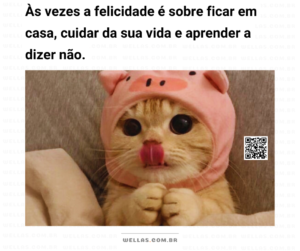 Memes para Redes Sociais (20) - WELLAS | Pensamentos e Ideias.