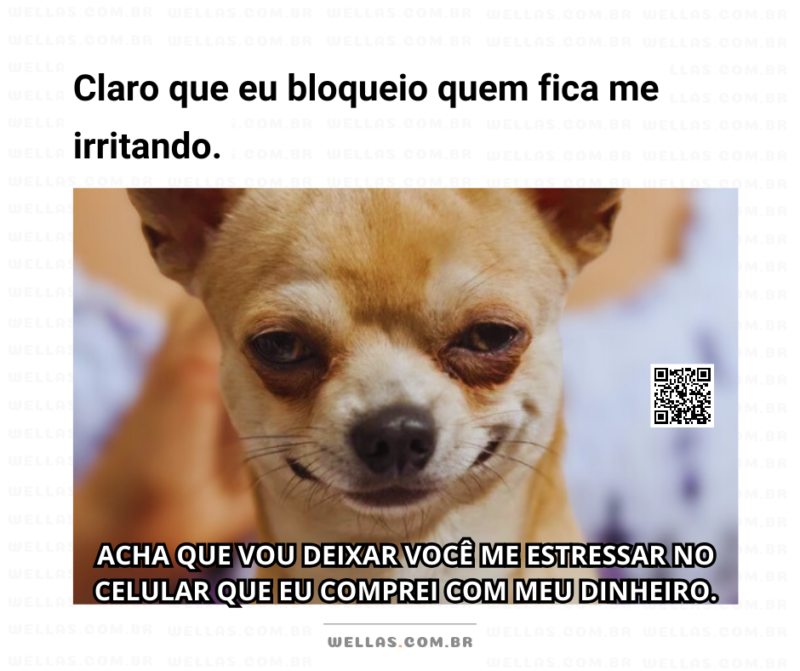 Memes para Redes Sociais (24) - WELLAS | Pensamentos e Ideias.