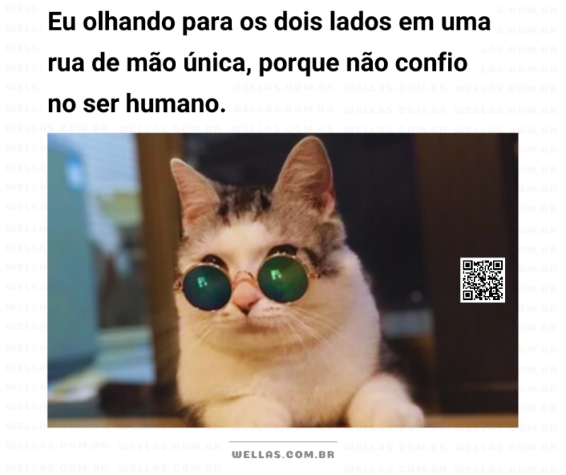 Memes para Redes Sociais (33) - WELLAS | Pensamentos e Ideias.