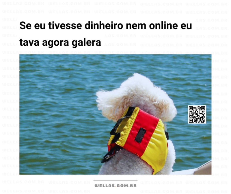Memes para Redes Sociais (38) - WELLAS | Pensamentos e Ideias.