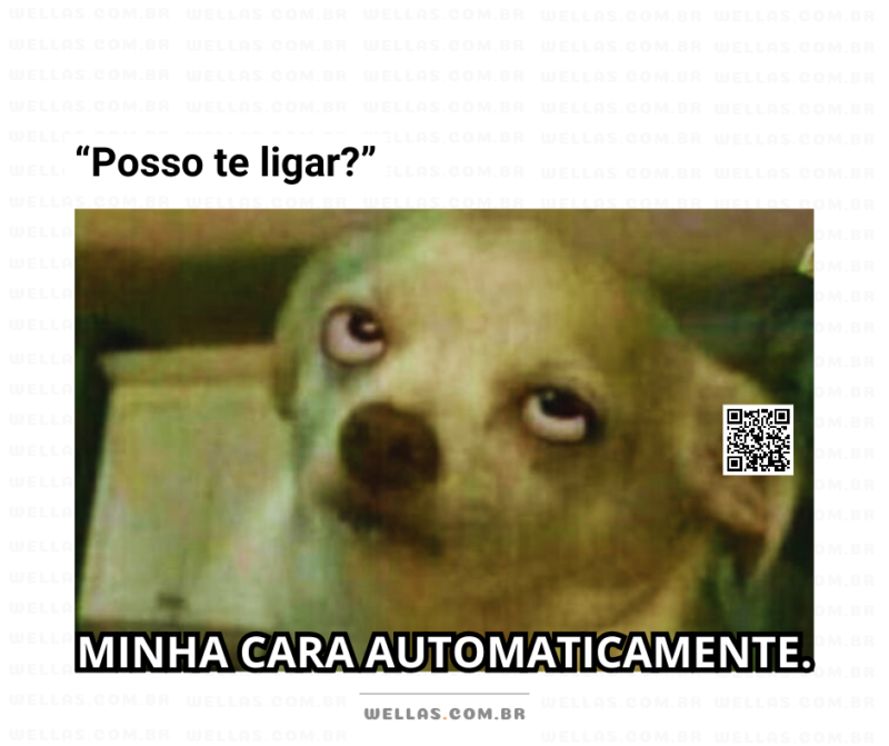 Memes para Redes Sociais (35) - WELLAS | Pensamentos e Ideias.